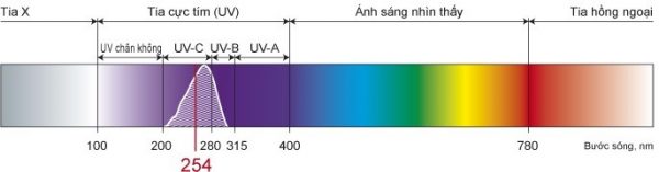 Đèn UV | ANVIGROUP