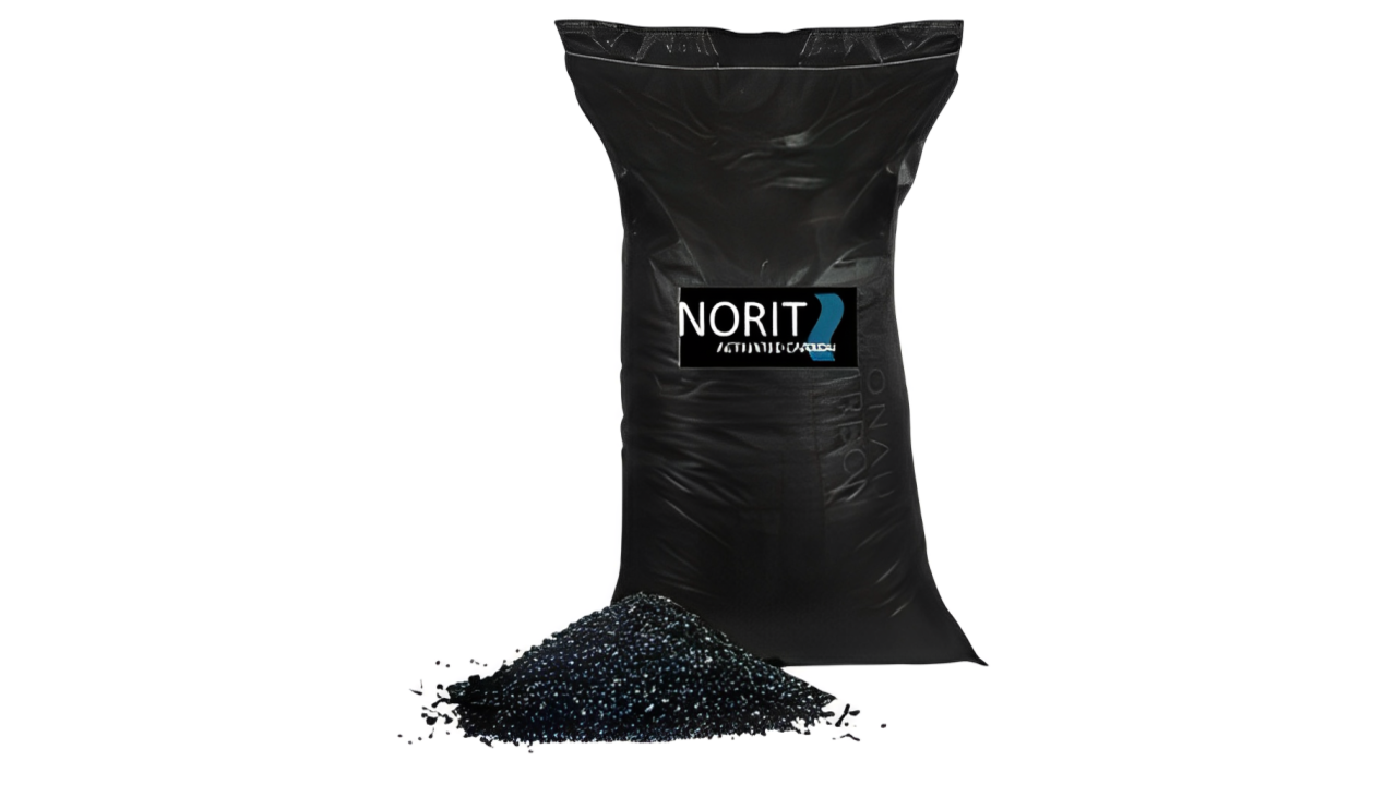 Than Hoạt Tính Norit GAC 1240 PLUS - Giá Tốt | ANVIGROUP